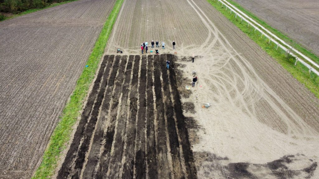 Der Vorstand – Solidarische Landwirtschaft Verden (Solawi)